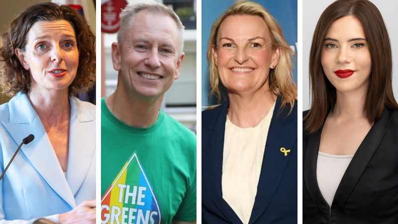 Wentworth candidates vie for the pink vote after electorate shake-up